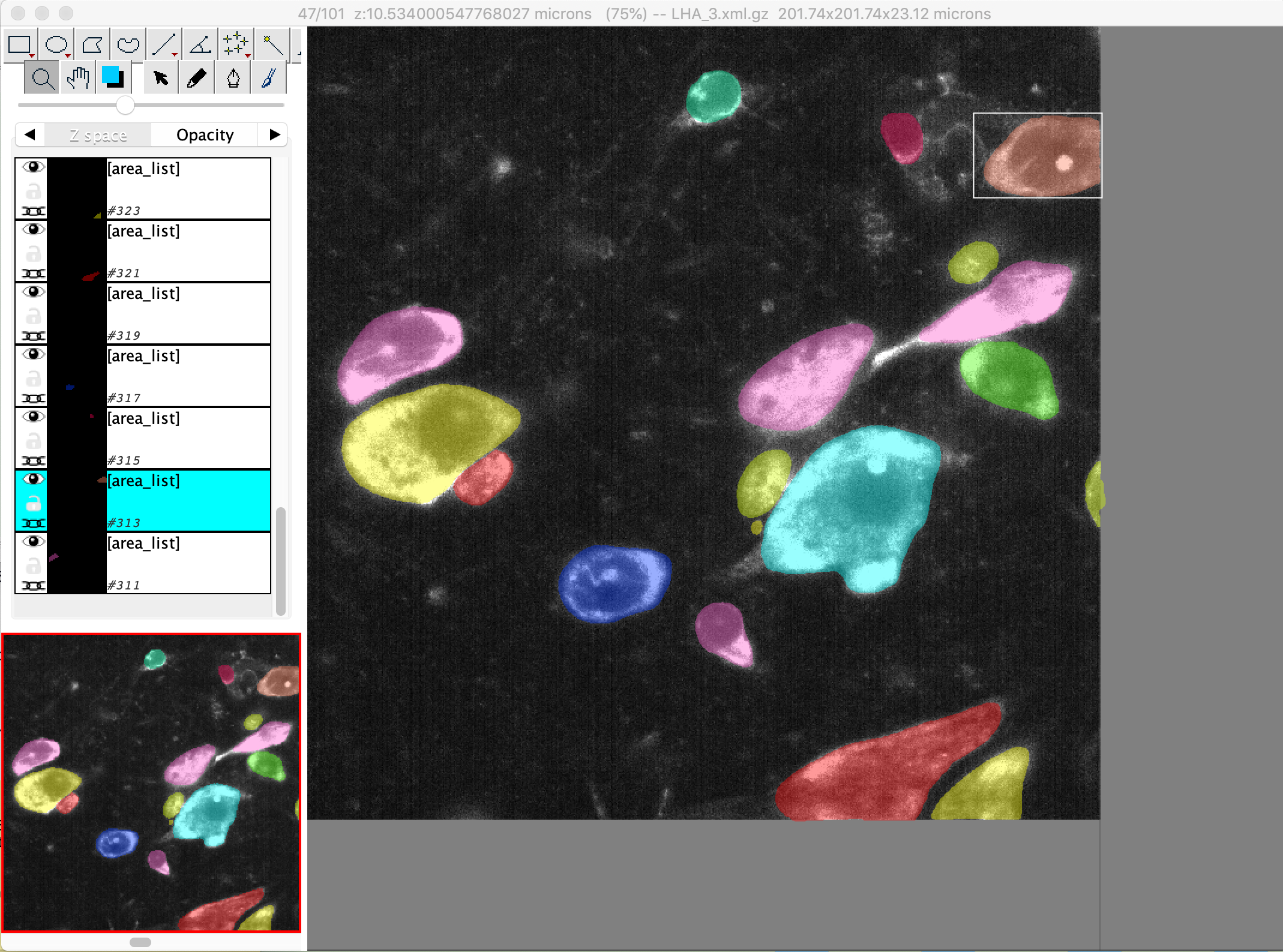 Data Inspection And Visualization EASI FISH Nextflow Pipeline
